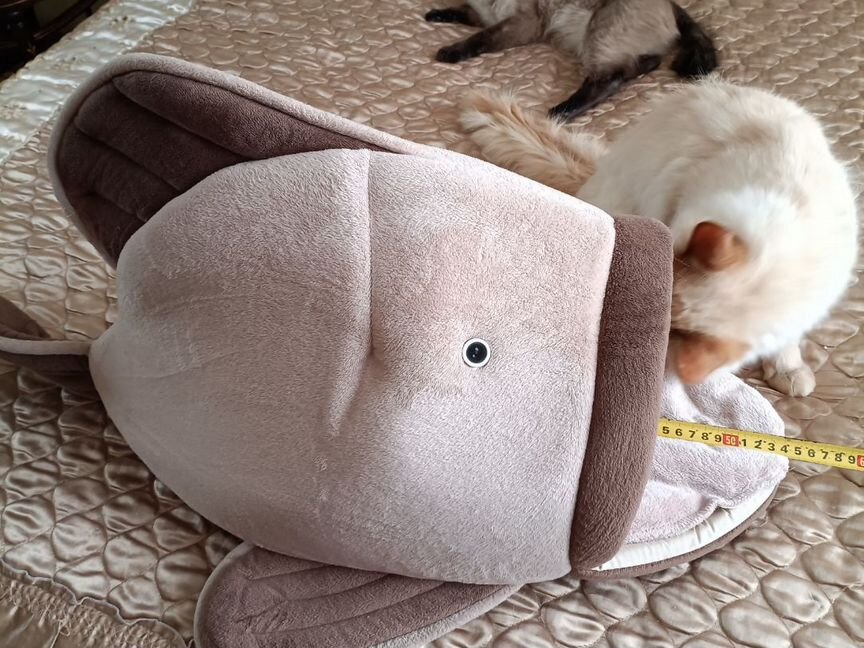 Домик для кошки рыба