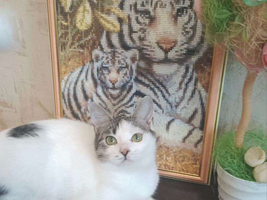 Маша ищет дом