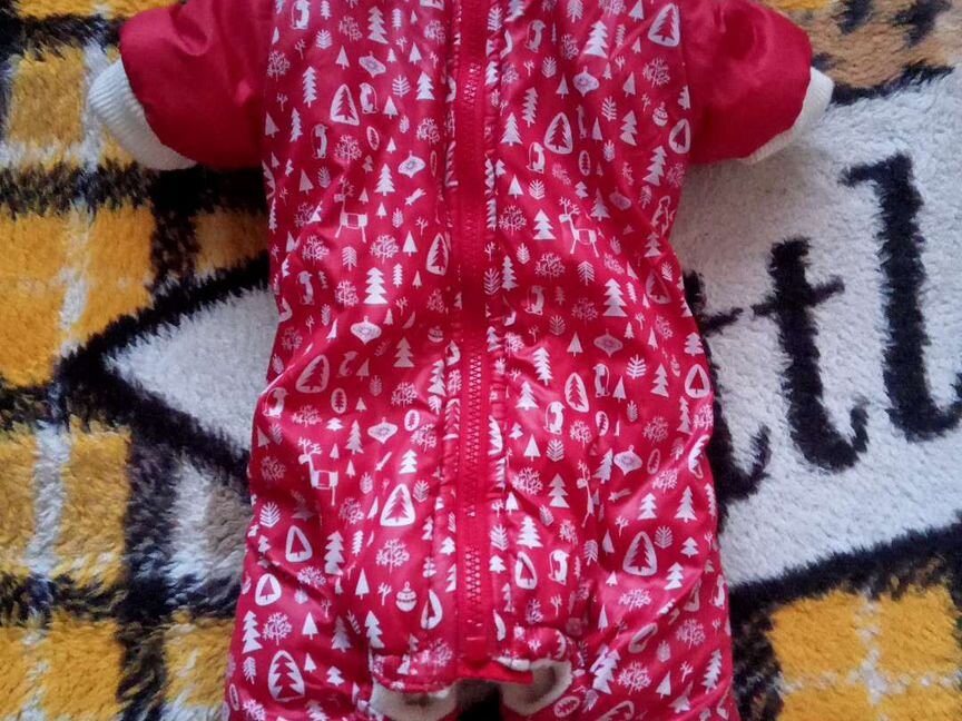 Куртка для той-терьера