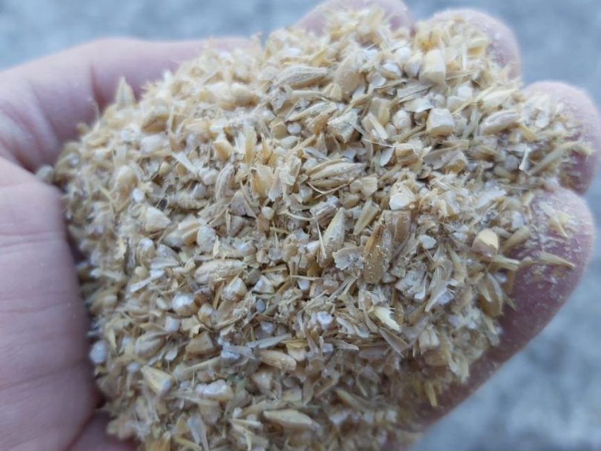 Зерно дробленка