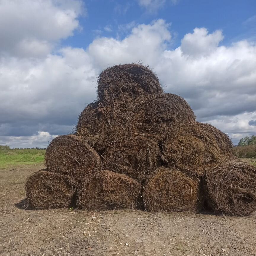 Сено эспарцет в рулонах