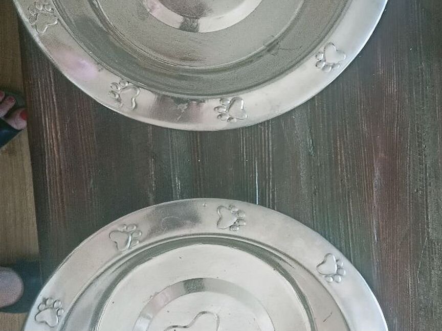 Миска для собак, ринговка, эшо