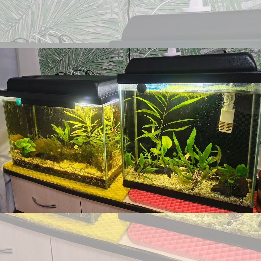 Аквариумы 30 и 40 л