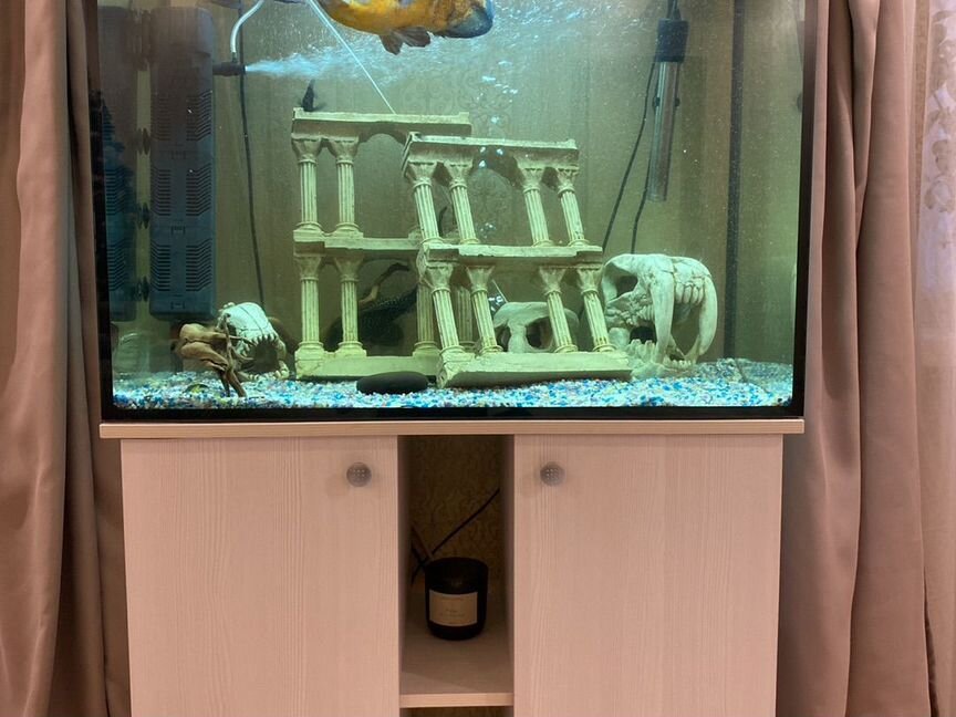 Аквариум с тумбой и рыбками, 200 литров