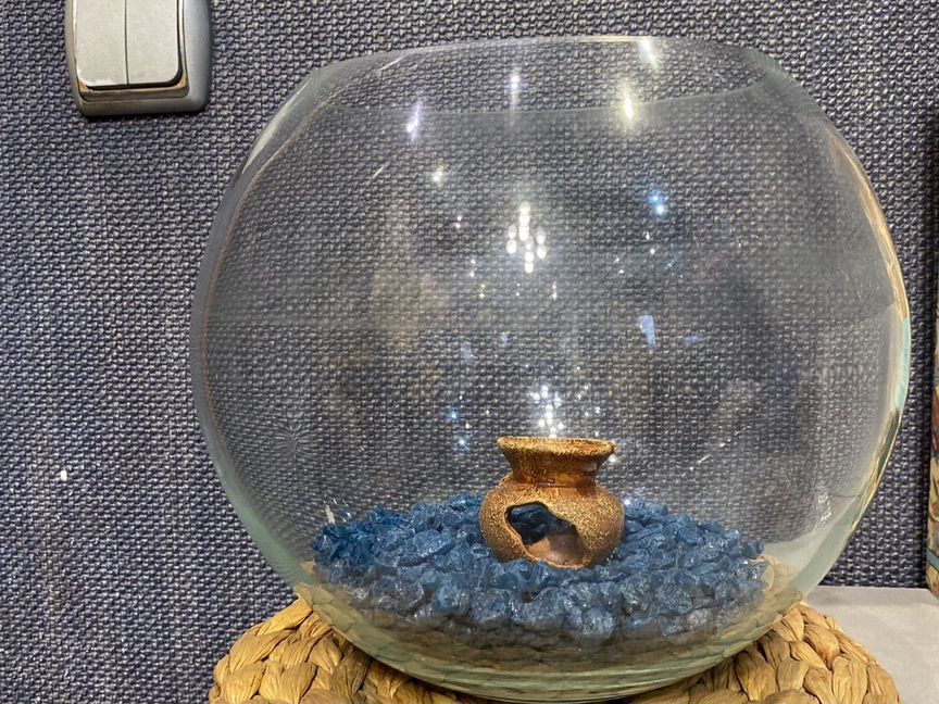 Аквариум бокал