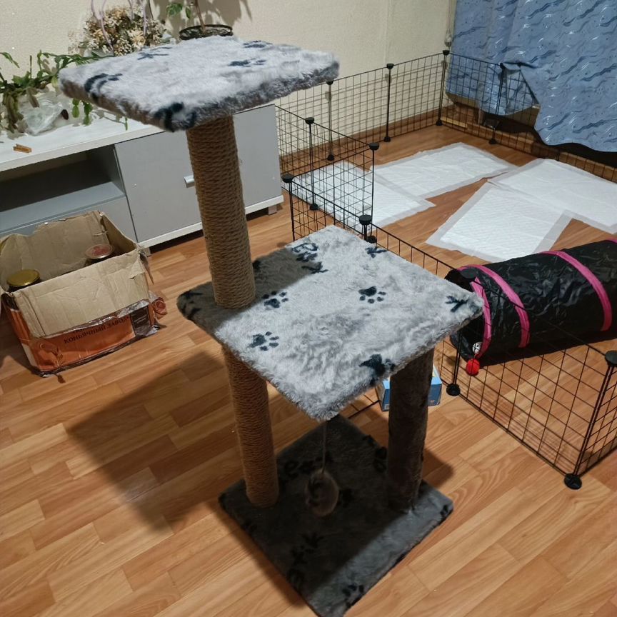 Когтеточка для кошек