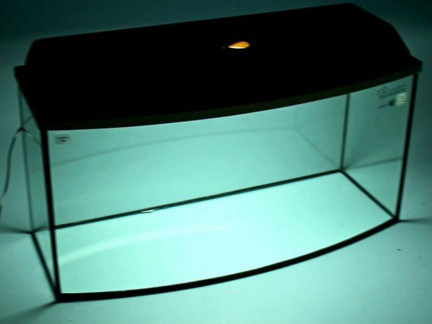 Аквариум, рыбки, растения, фильтр