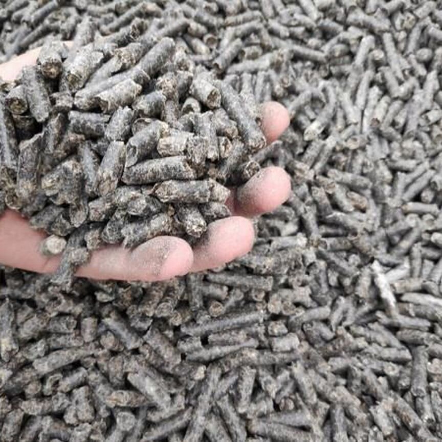 Жом свекловичный