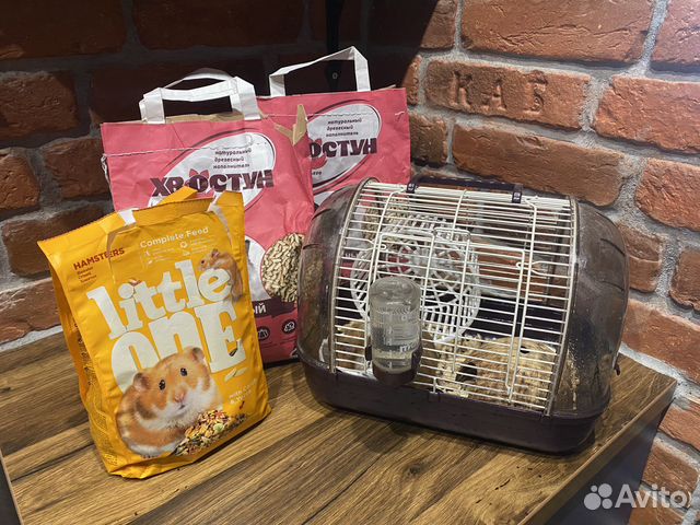 Сирийский хомяк с клеткой