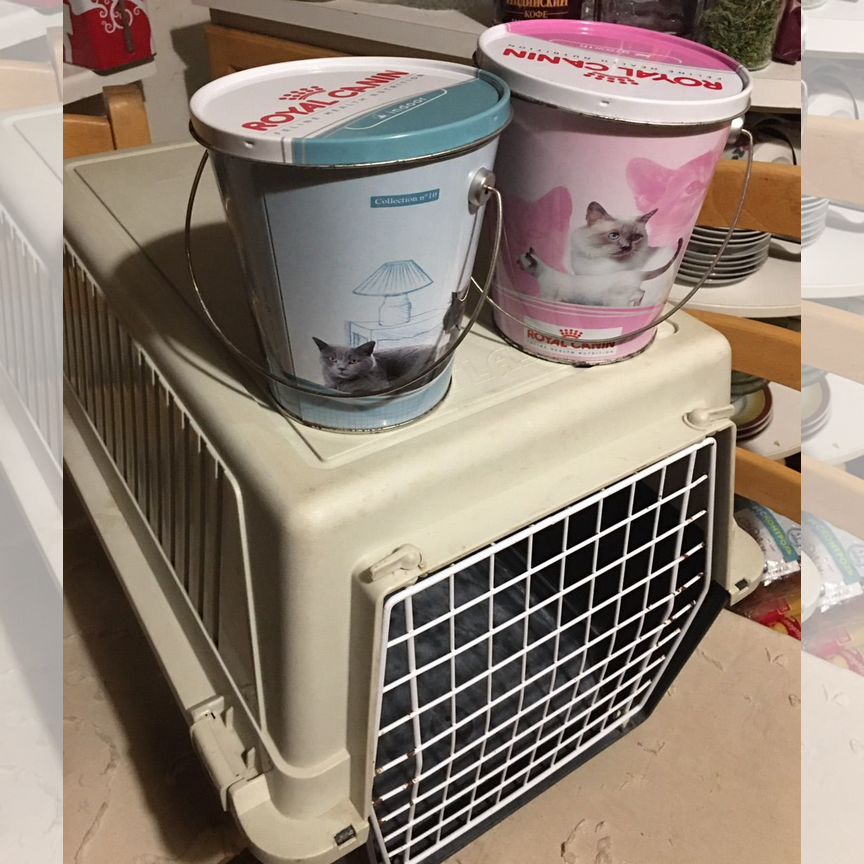 Переноска доя животных