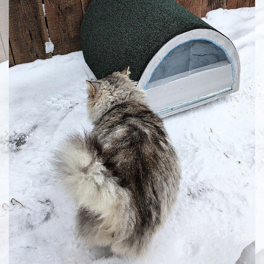 Дом для кошек уличный утеплённый