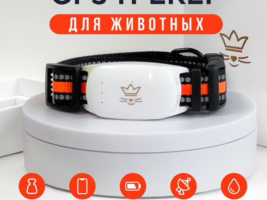 GPS трекер для собак и кошек, для животных