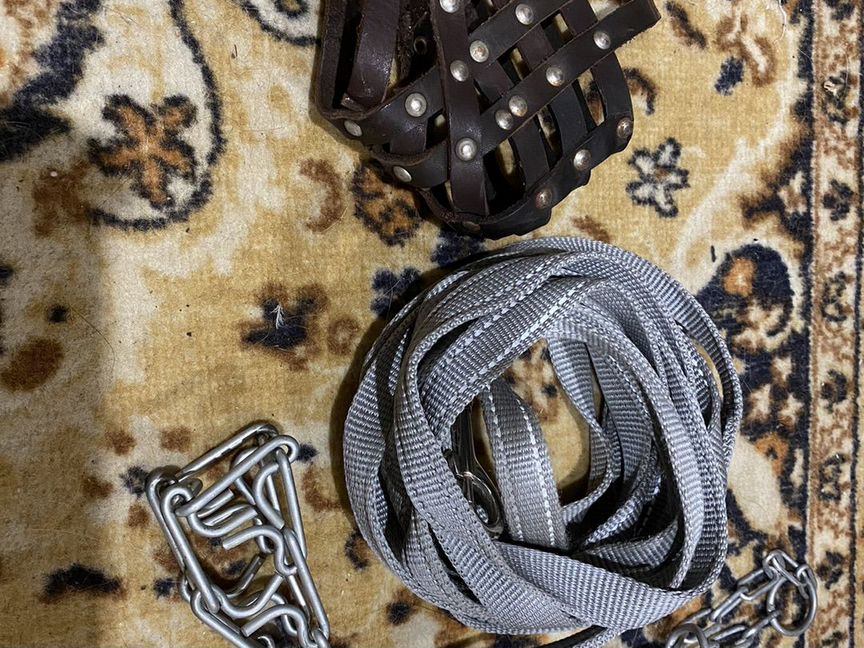 Принадлежности для прогулки собакой