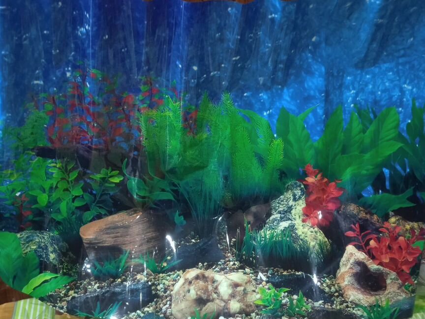 Фон для аквариума