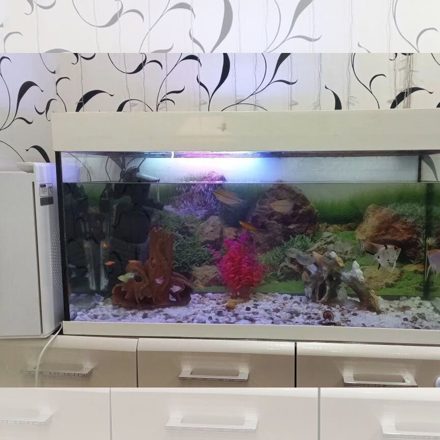 Аквариум с рыбками