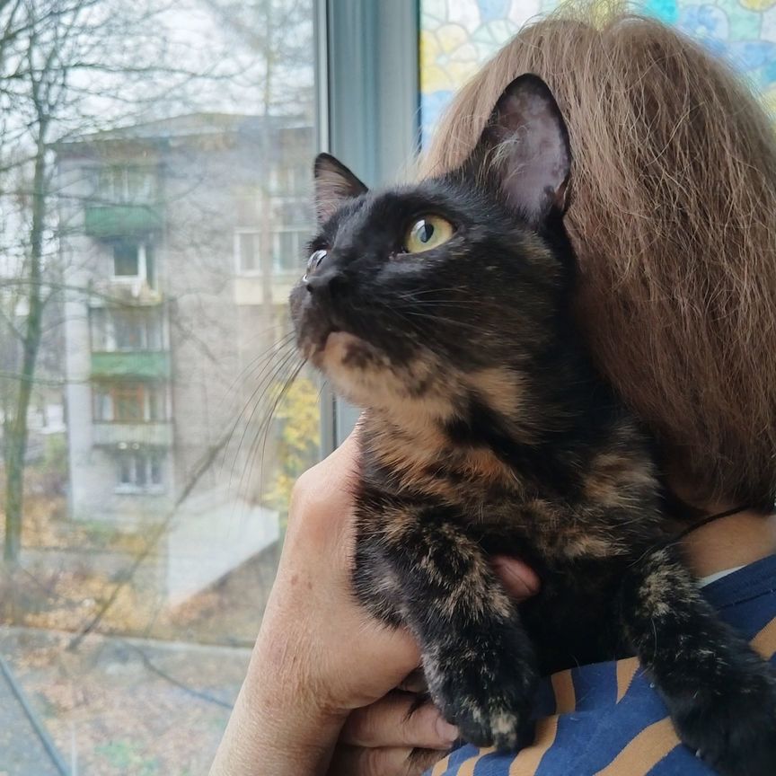 Умная Эльза