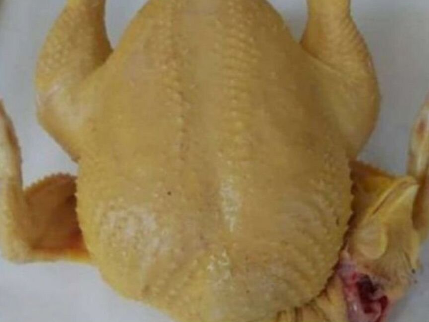 Курица бройлер