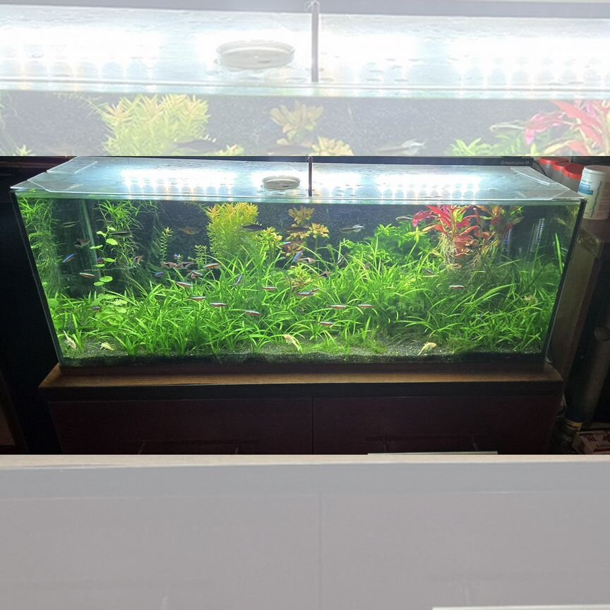 Аквариум с тумбой 100 л