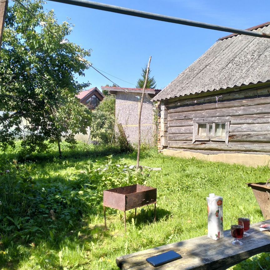 Котенок,готовый растопить ваше сердечко )