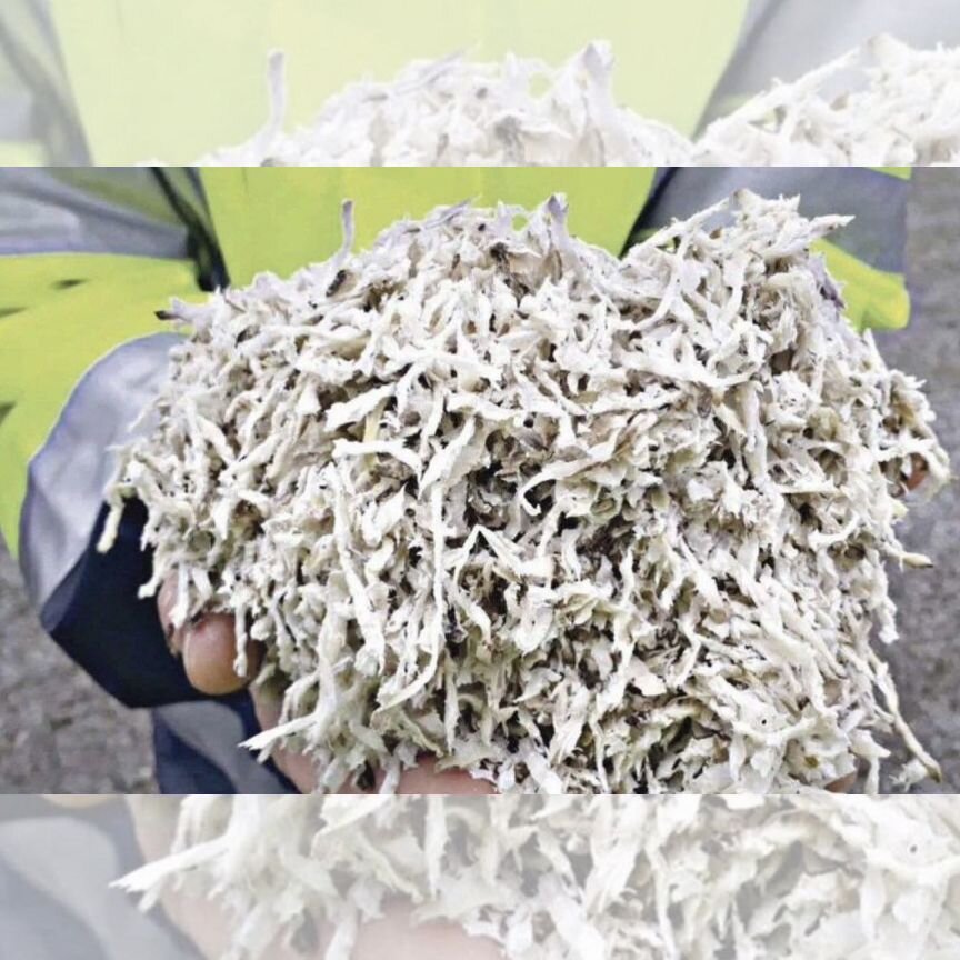 Жом свекловичный Камаз