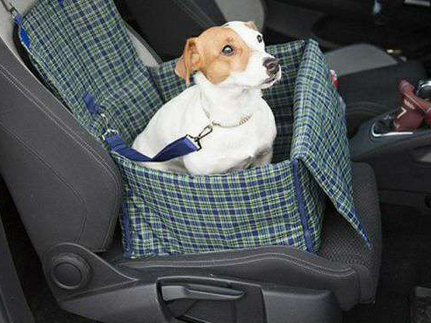 Сумка гамак для перевозки животных tibit