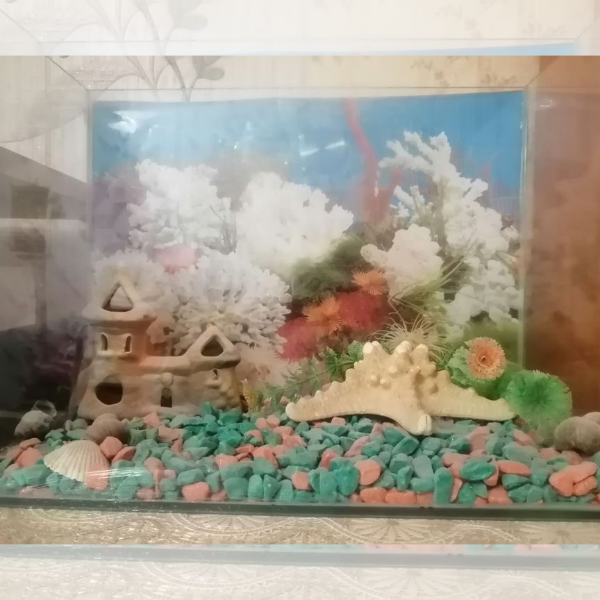 Продажа аквариума