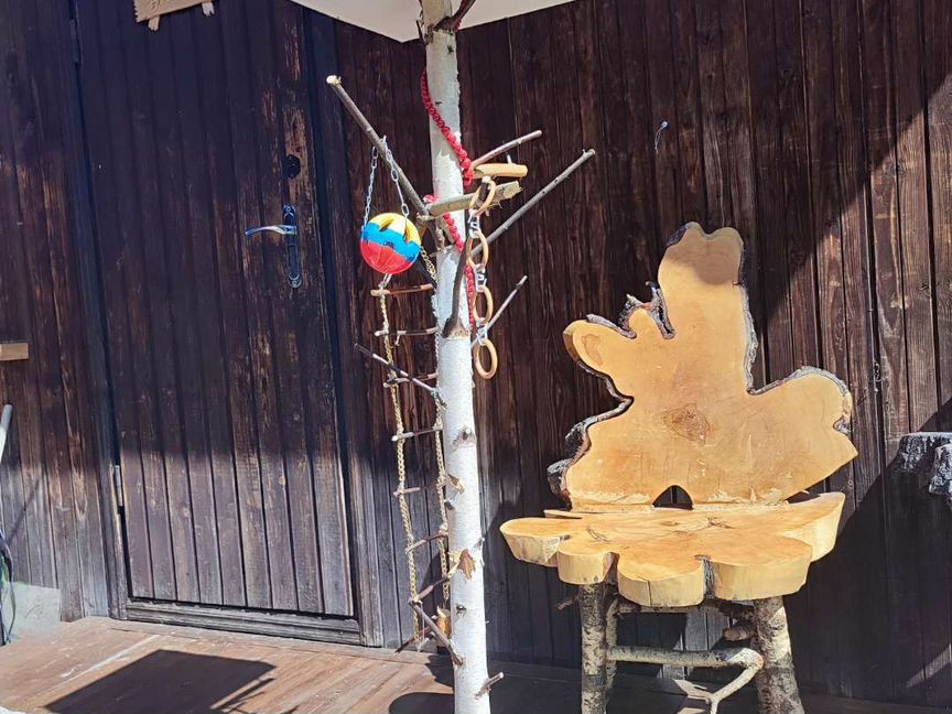 Присада для попугая
