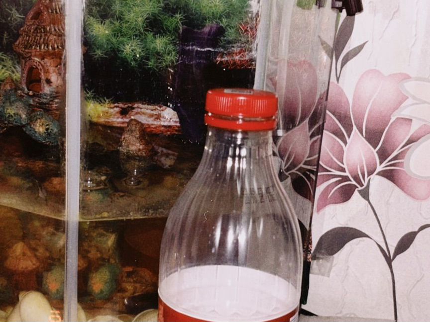 Бесплатно акариум с рыбами