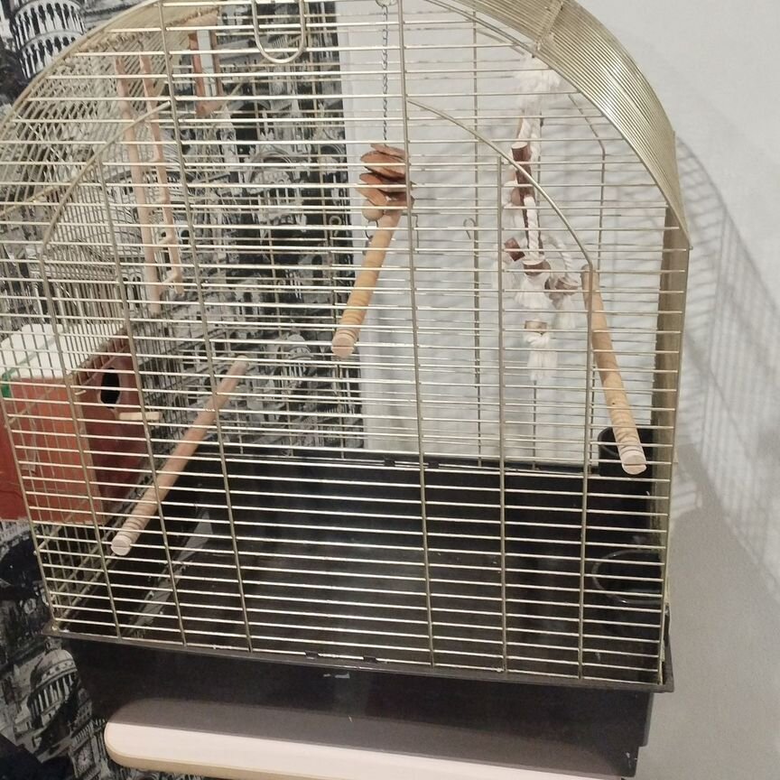 Клетка, (дом) для попугая