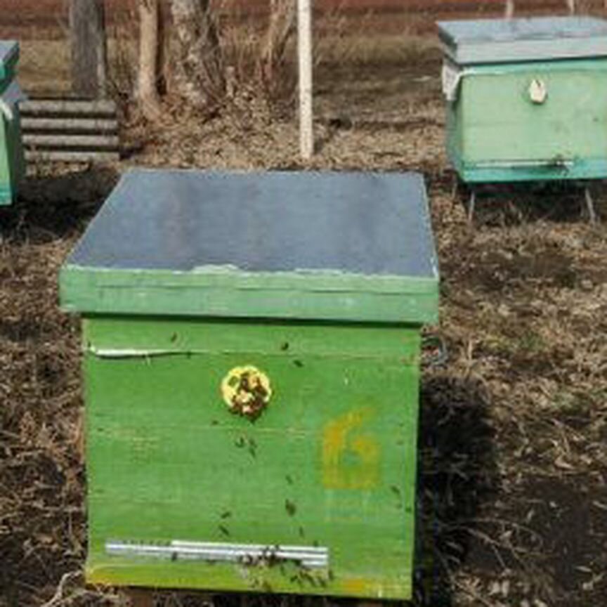 Продаётся инвентарь для пчеловодства