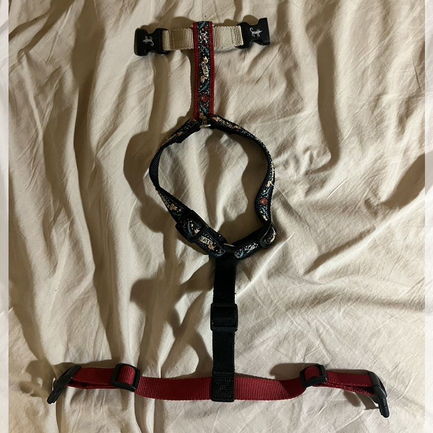 Шлейка корги Sharikdog pirate