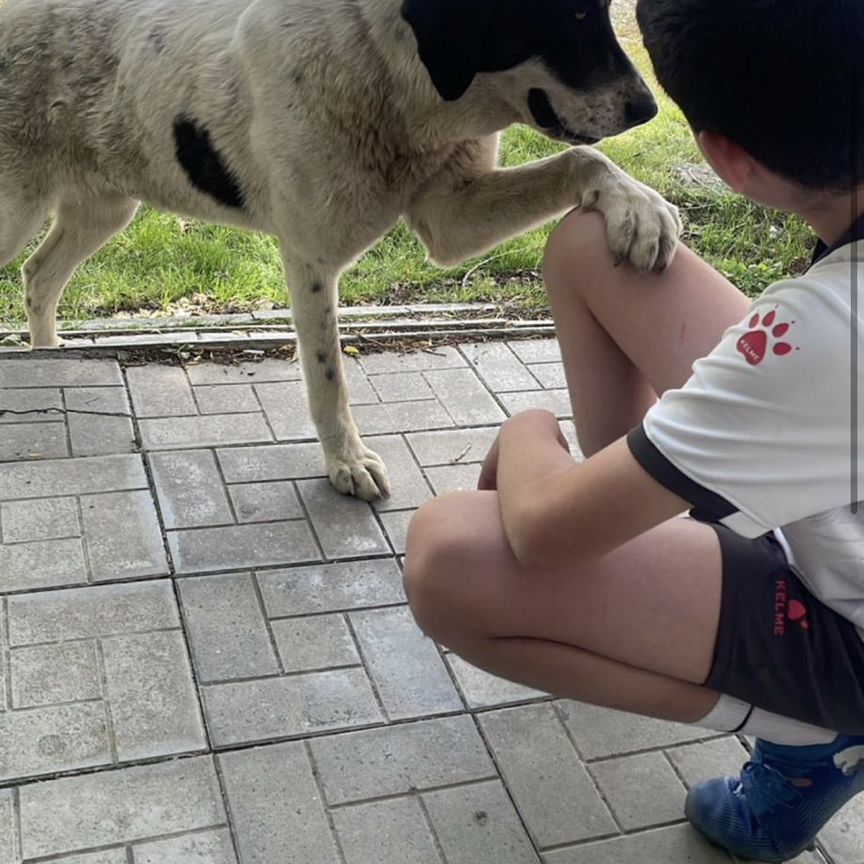 Обманули и выкинули