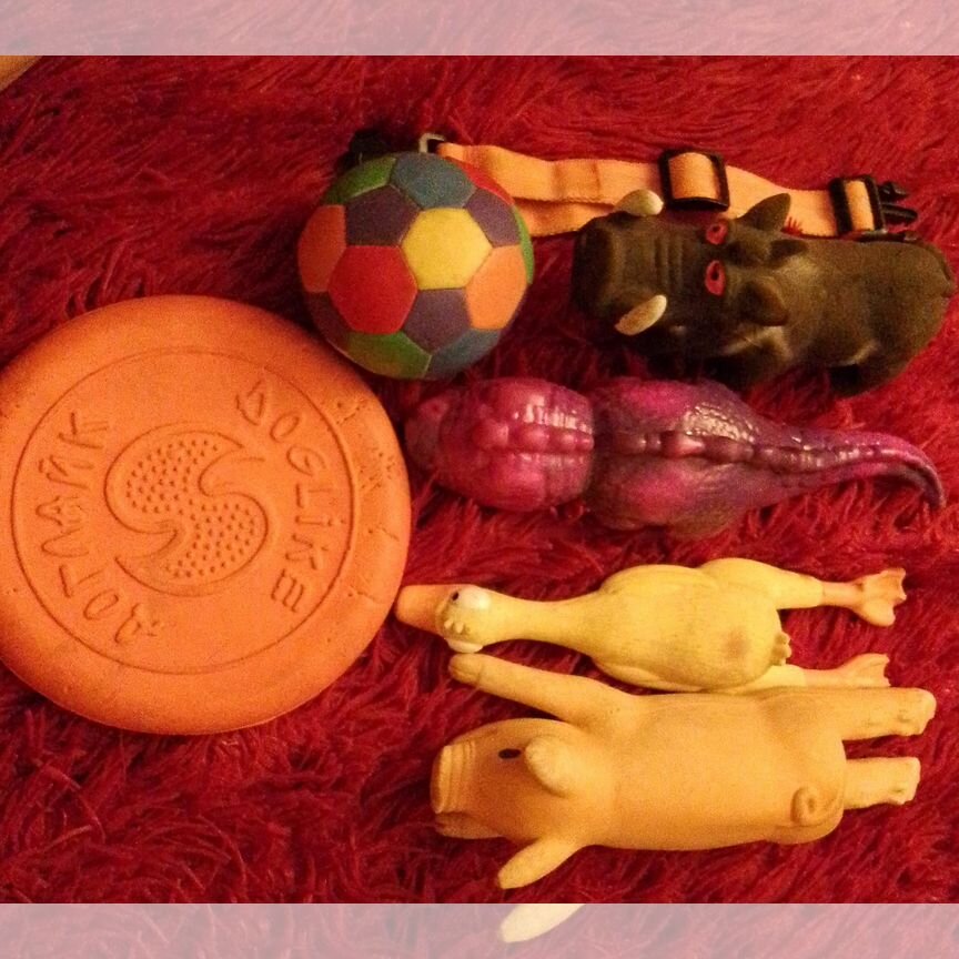 Игрушки для собак