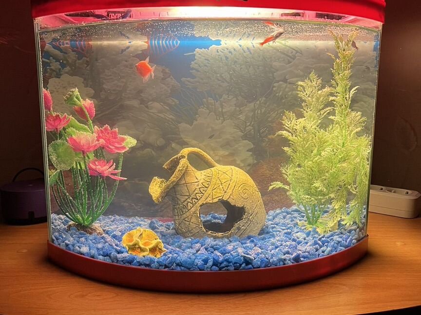 Аквариум 25 л с рыбками и со всем содержимым