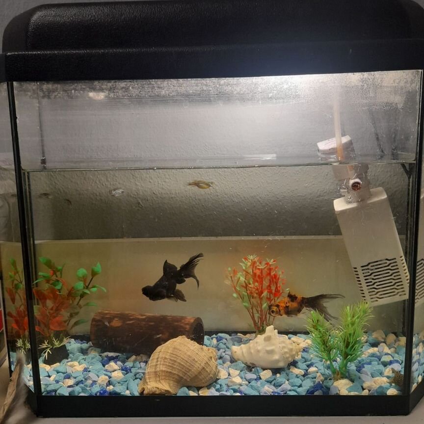 Аквариум с рыбками 20 литров