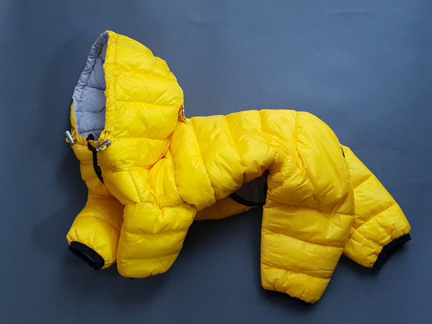 Комбинезон для маленькой собаки Puppy Angel