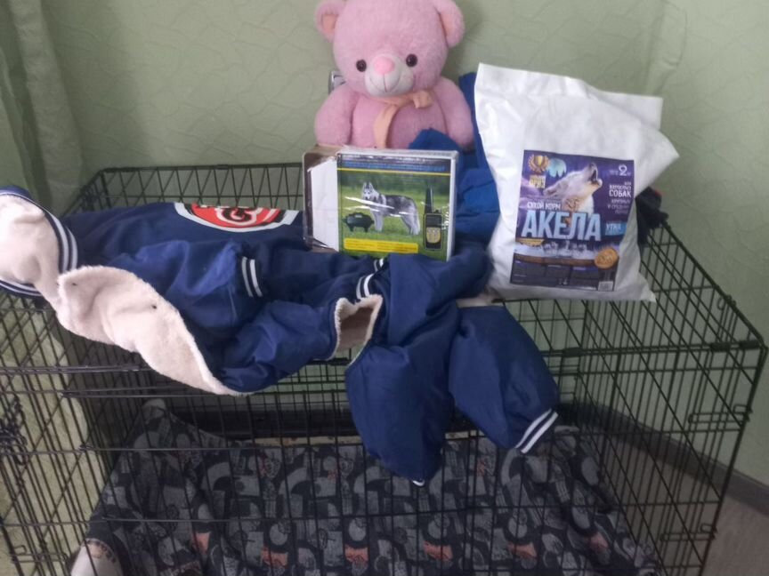 Корм разные, ошейник., костюм