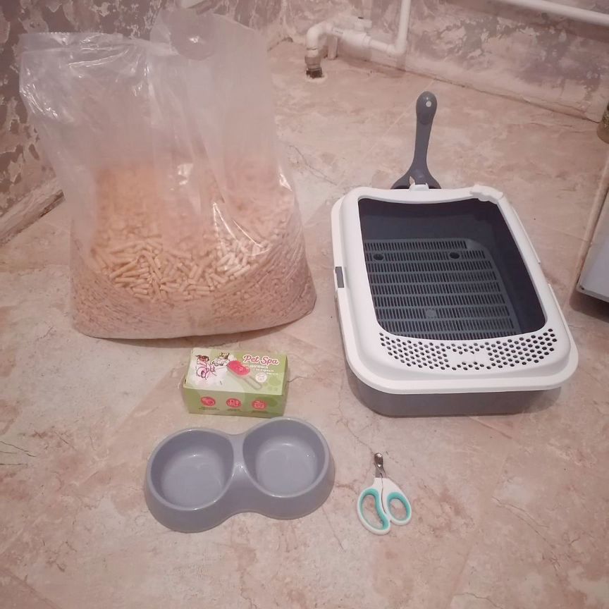 Кошачьий набор