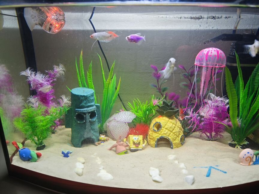 Аквариум 60л комплект