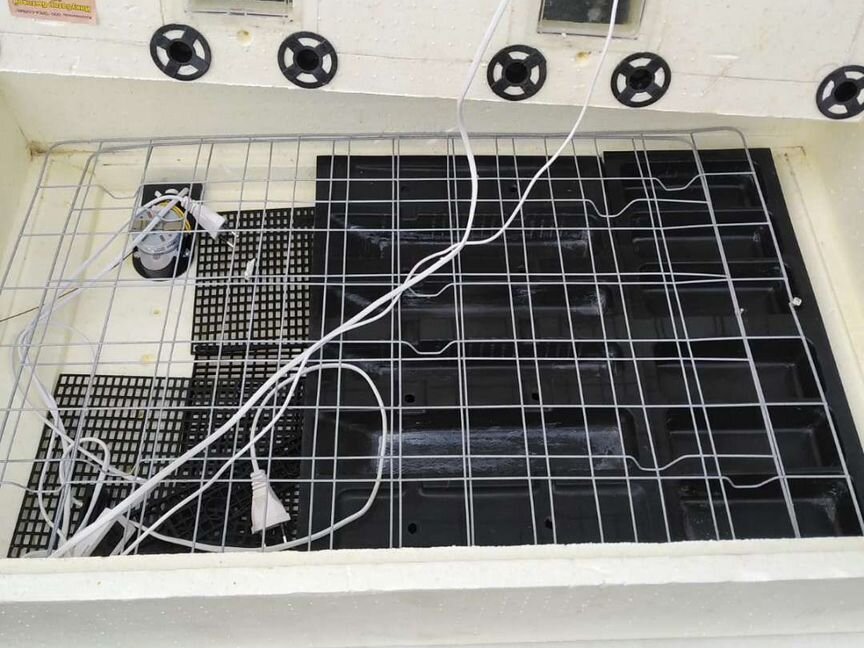 Инкубатор для яиц