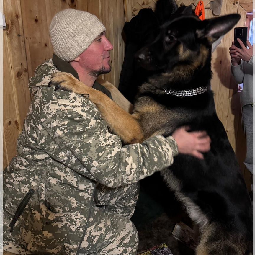 Кабель для случки