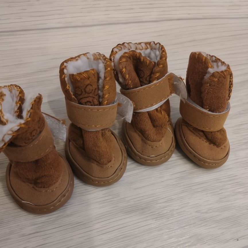 Обувь для собак