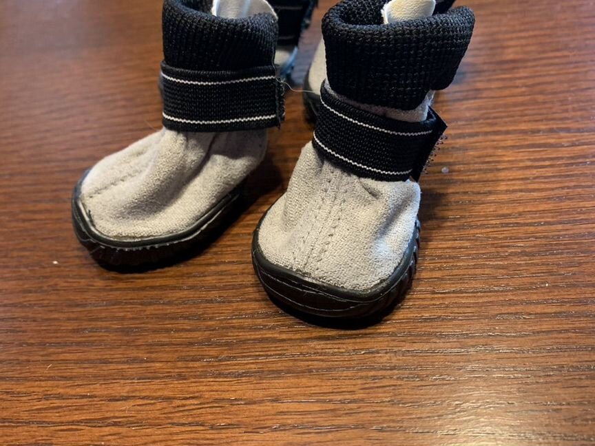 Обувь для маленьких собак