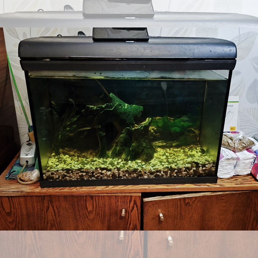 Аквариум с рыбками