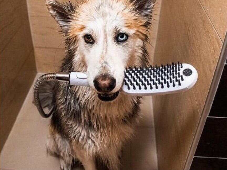 Лейка для ухода за животными