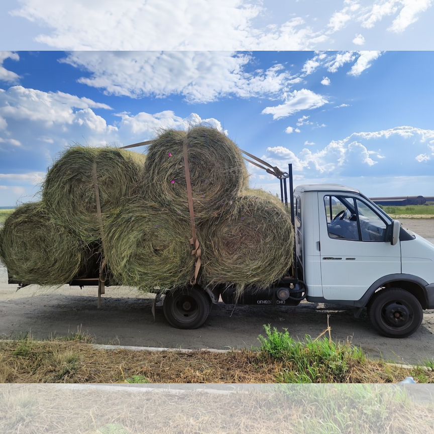 Сено в рулонах