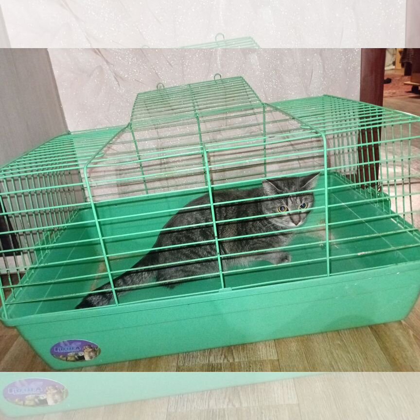 Клетка для грызунов