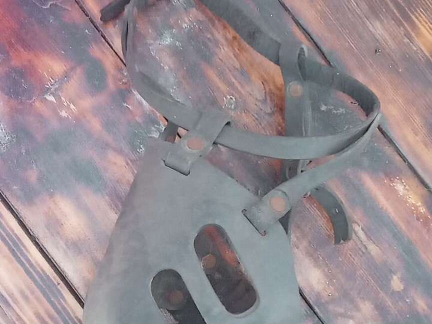 Намордник для немецкой овчарки