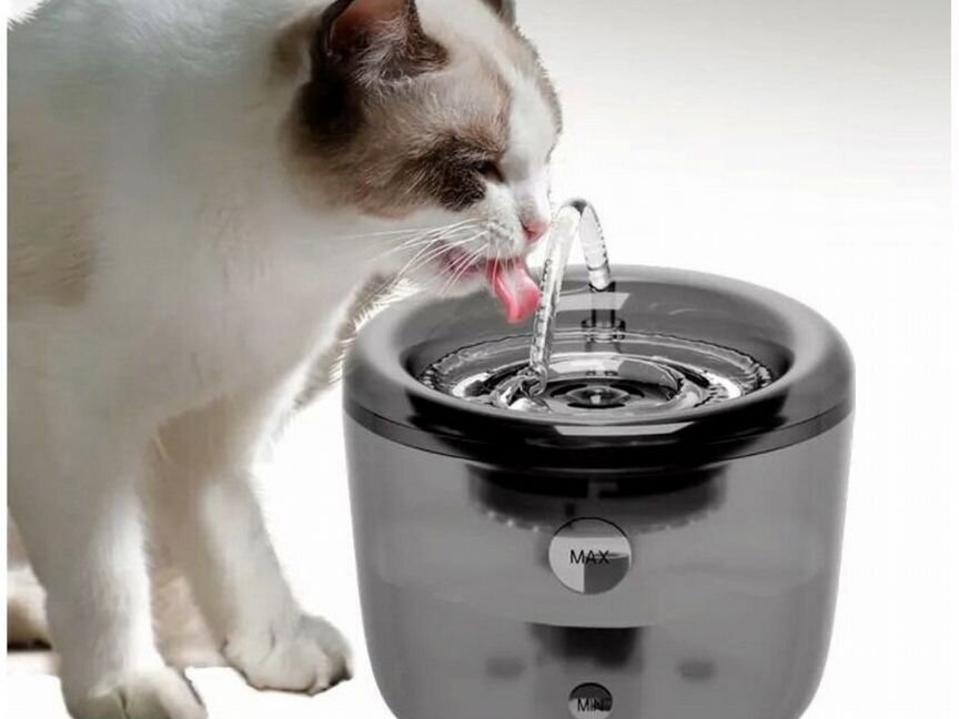 Фонтанчик для животных