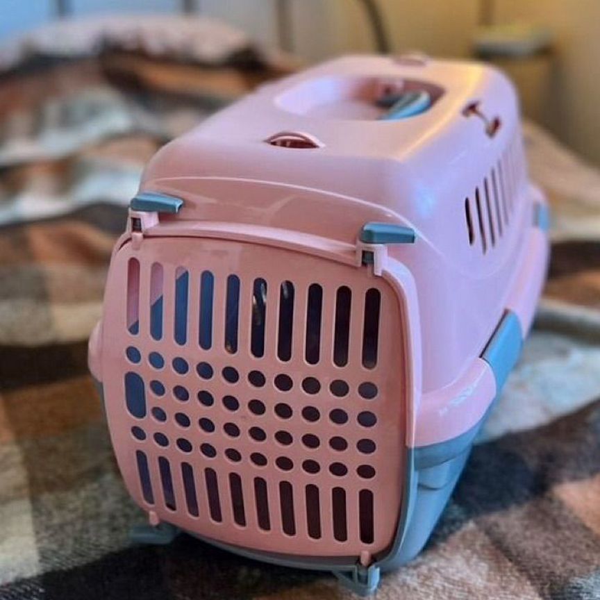 Переноска для животных пластиковая в ремонт